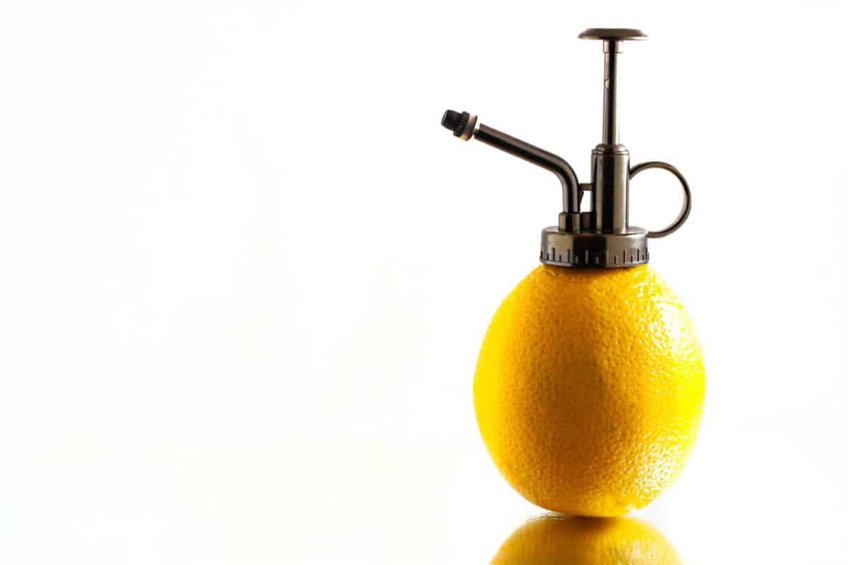 7 Tricks To Remove Wine Stains: How to Clean Wine Stains